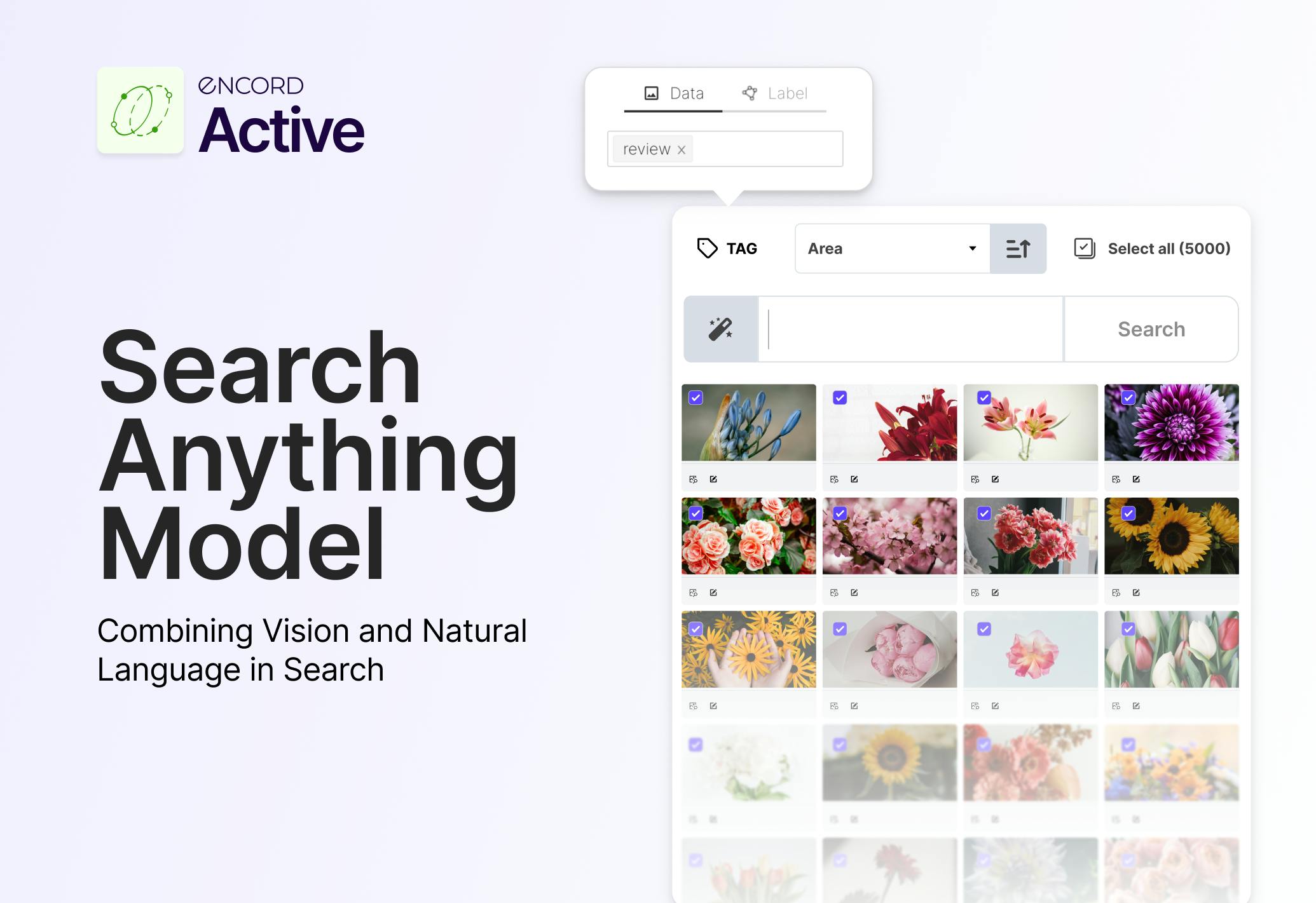 Learn how to fine-tune the Segment Anything Model (SAM) | Encord